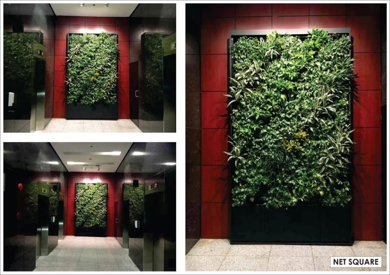 Advice for creating beautiful green wall | M&G Global Ads